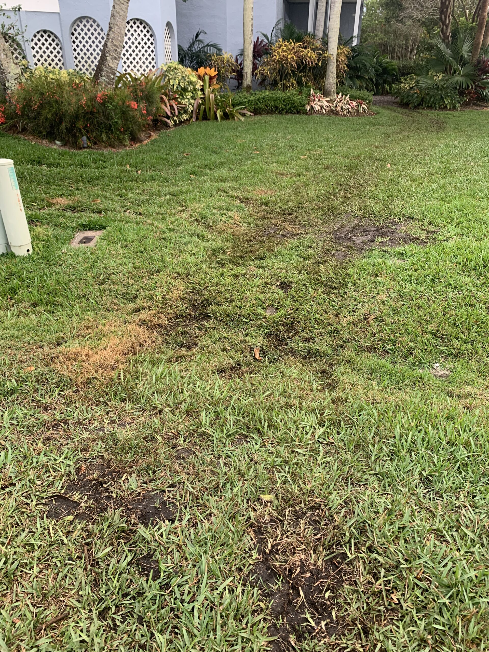 Tree removal and yard damage? - Oneilstreeservice.com