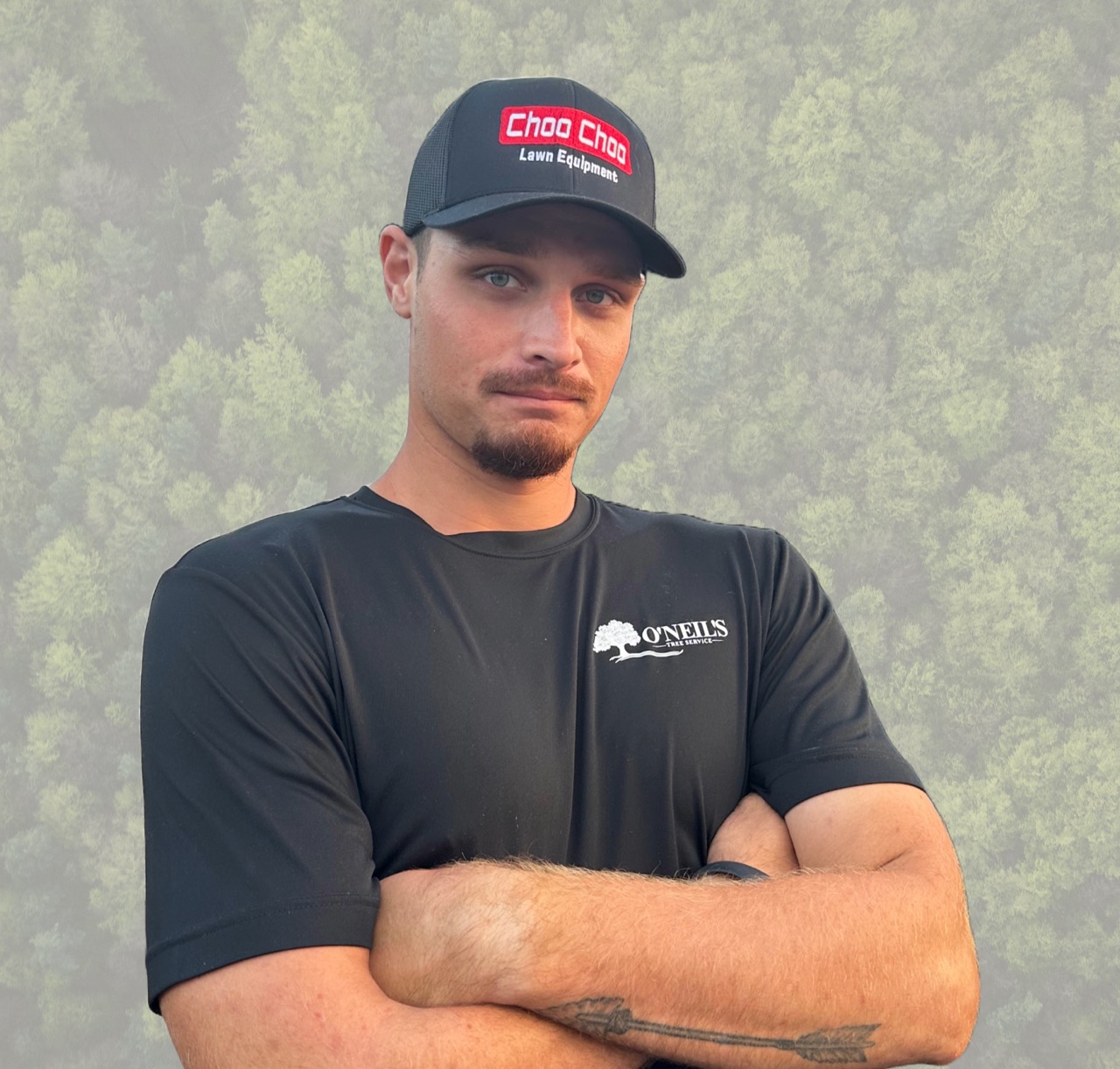 About O'Neil's Tree Service | Clearwater & Tampa Bay Tree Care Experts