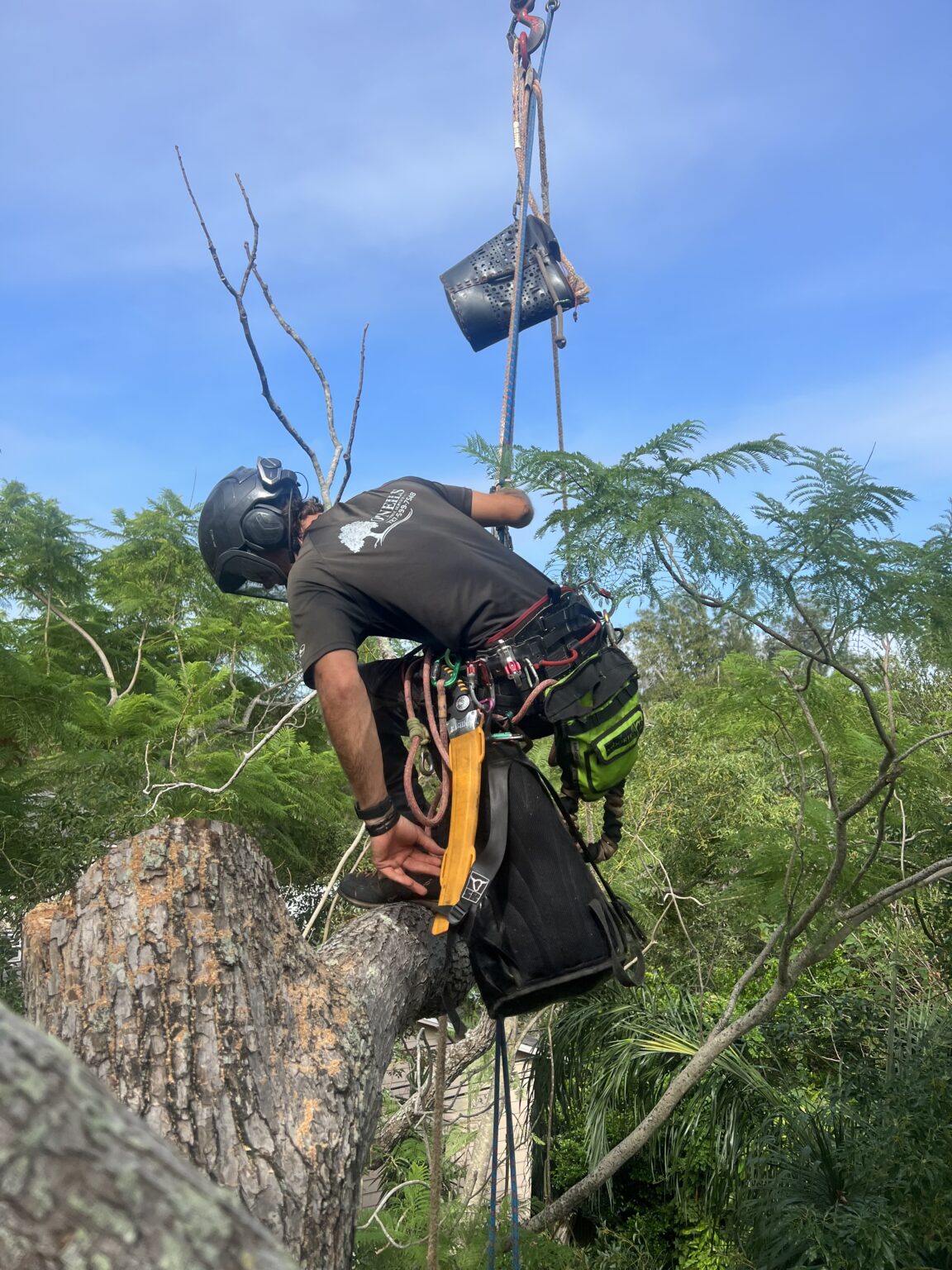 O'Neil's Tree Service